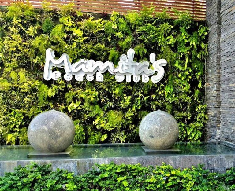 Mamita´s Beach Club 【Haz Tu Reserva】2026 | Sandbeds