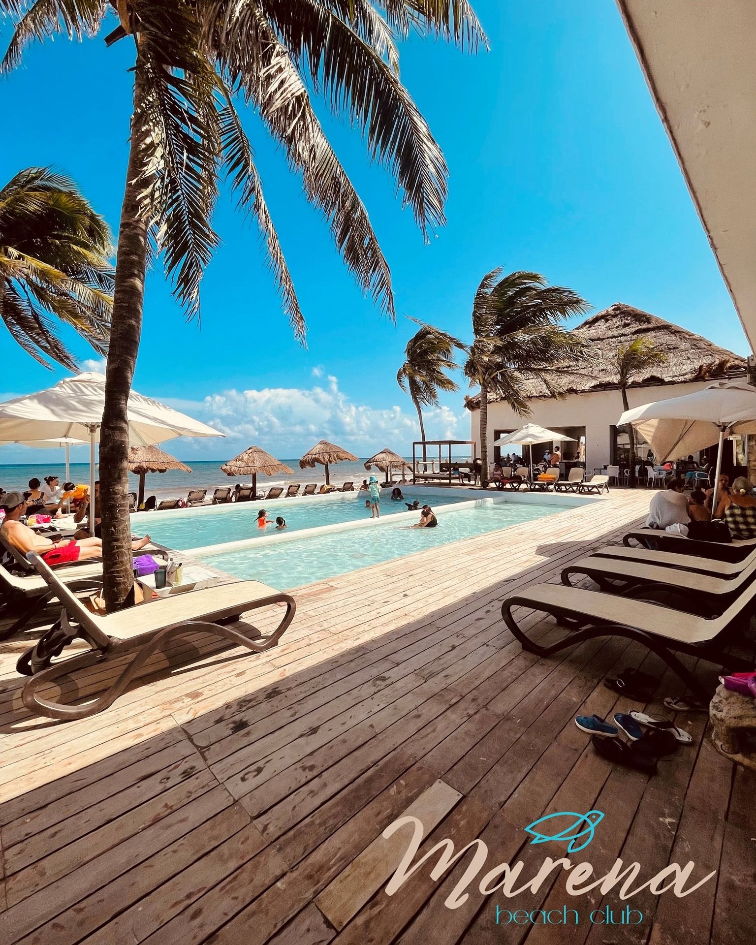 Marena Beach Club — Beach Club in Playa del Carmen, Mexico | Guide ...