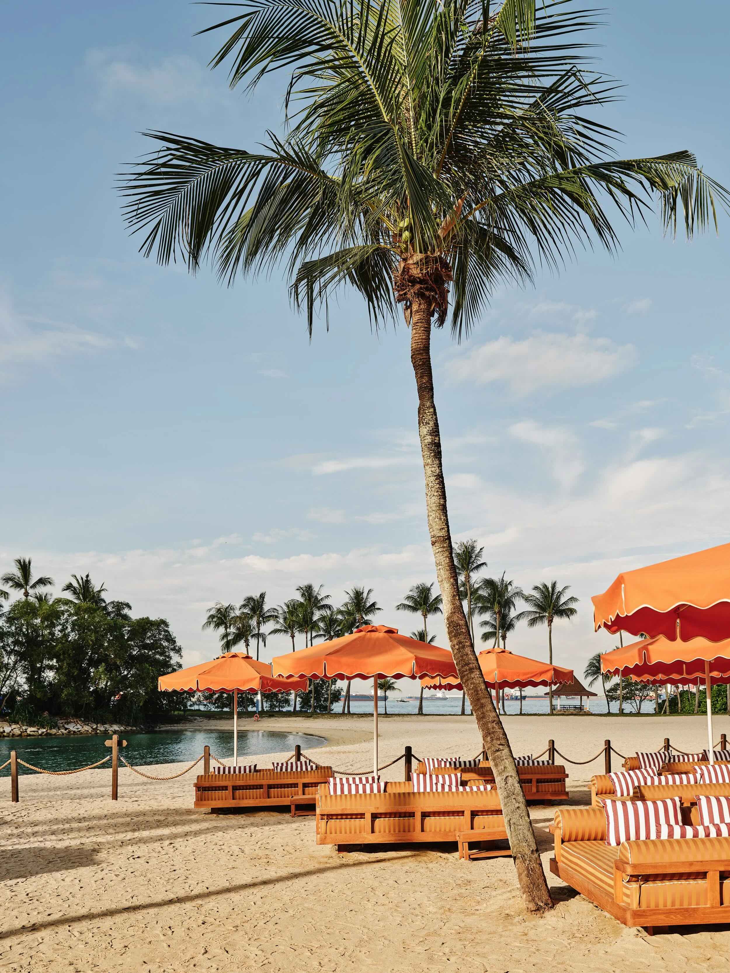 Tanjong Beach Club Singapore — Beach Club en Sentosa, Singapur | Guía ...